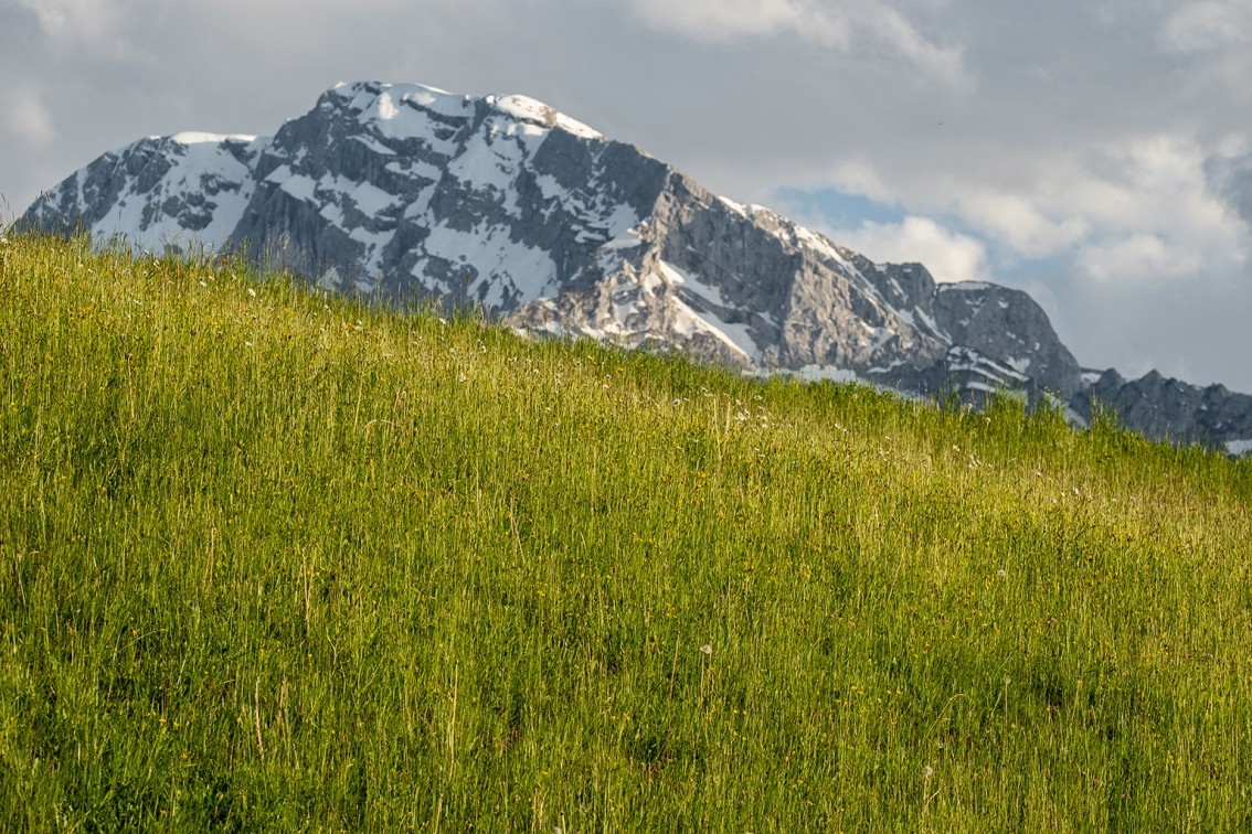 Alpy austriackie | Turystyka Bez Granic